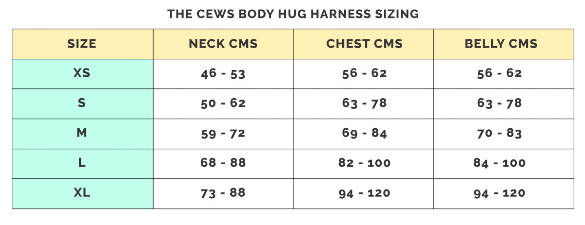 Home - CEWS - Complete Easy Walking System for Dogs